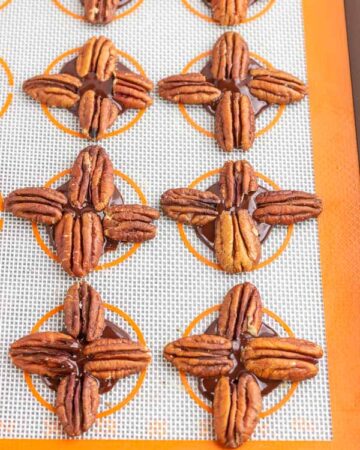 Sugar Free Turtles - Beauty and the Foodie